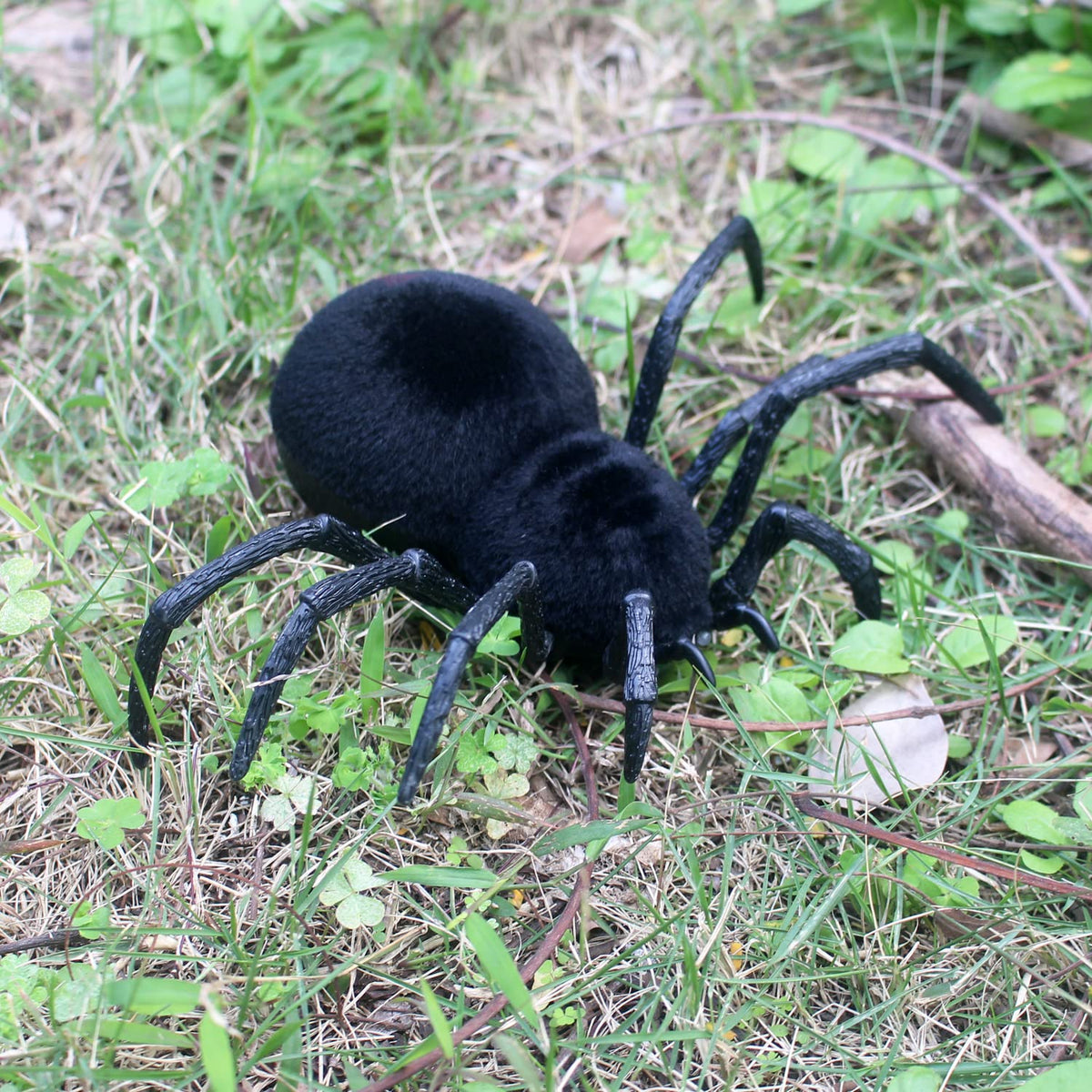 RC Spider Remote Control Tarantula Realistic Animal Crawlers Scary Kid ...