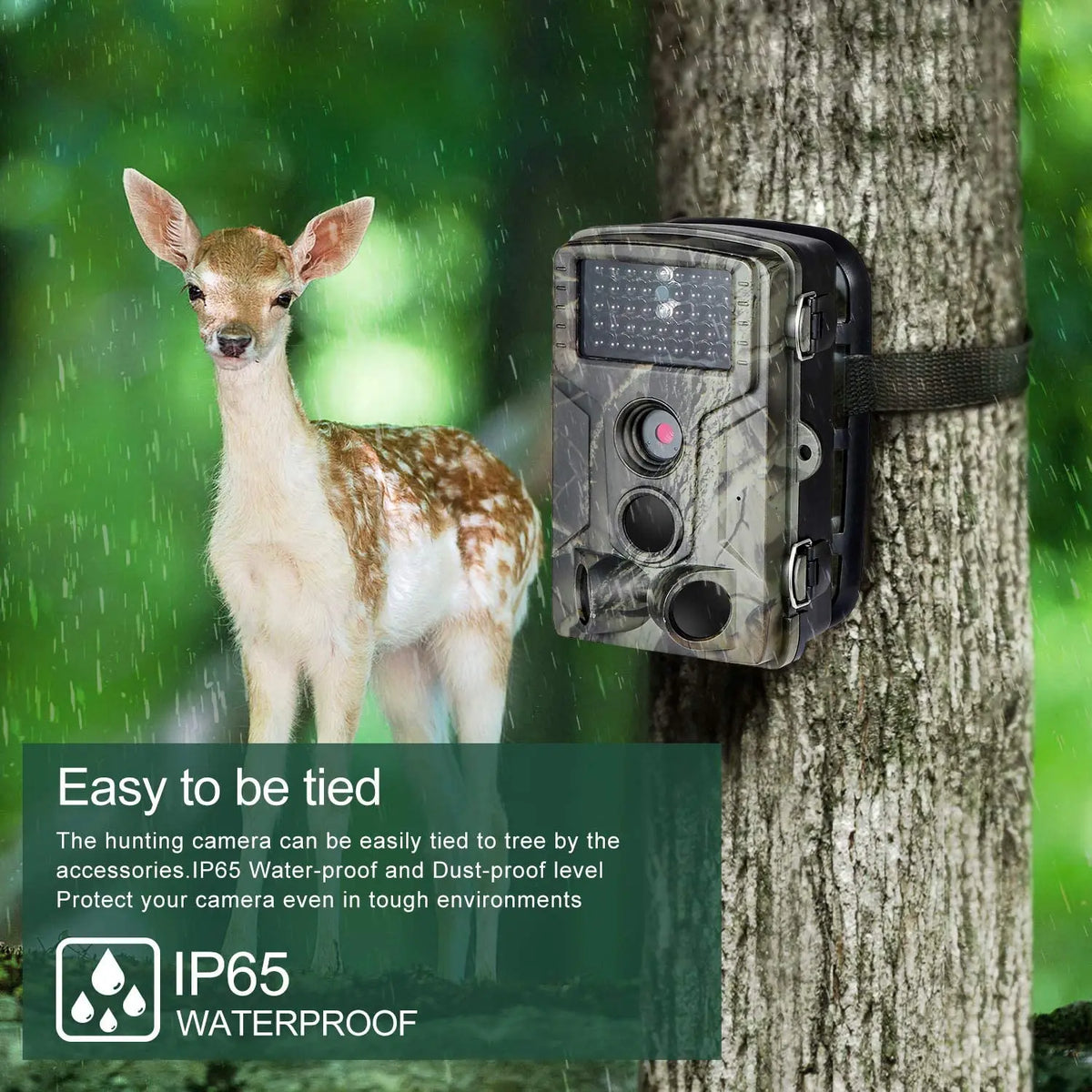 2.7K 24MP Wireless Trail Camera Hunting Cameras HC802A Wildlife Survei ...
